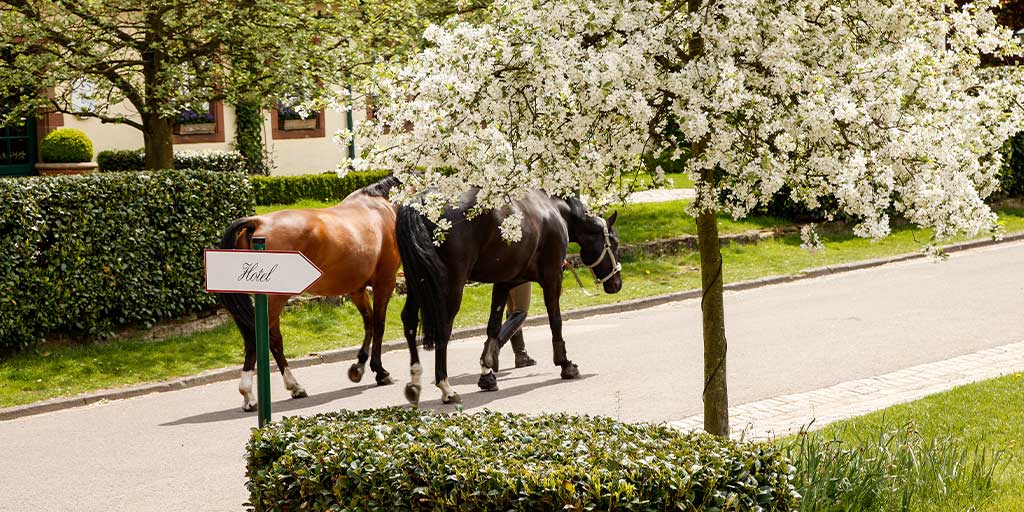 4-Sterne Hotel im Saarland | Linslerhof